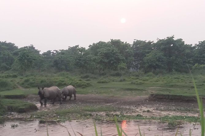 Luxury Chitwan Jungle Safari - 3 Days - Who This Tour Is Best For