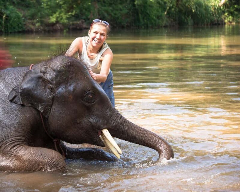 luxury Chitwan Jungle safari 4 days tour - Exploring Chitwan in Comfort and Style