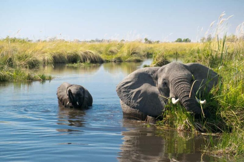 luxury Chitwan Jungle safari 4 days tour - The Itinerary: A Day-by-Day Breakdown