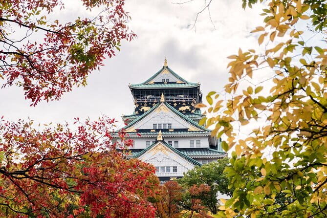 Luxury Classic Kyoto Day Tour - Private Customized Car Tour - FAQs