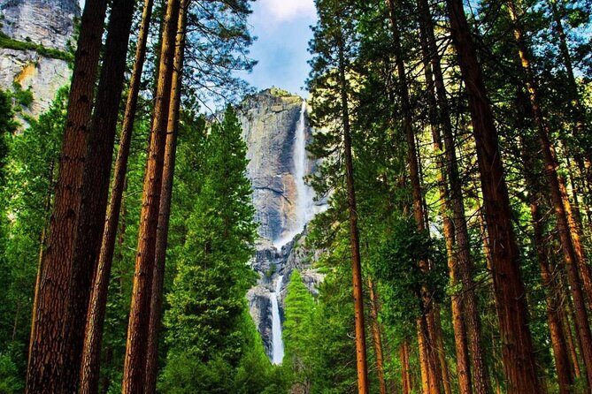 Luxury Coach Tour of Yosemite National Park - Key Points