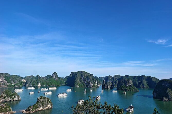 Luxury Day Cruise with Buffet & Limousine Transfer in Halong Bay - Key Points