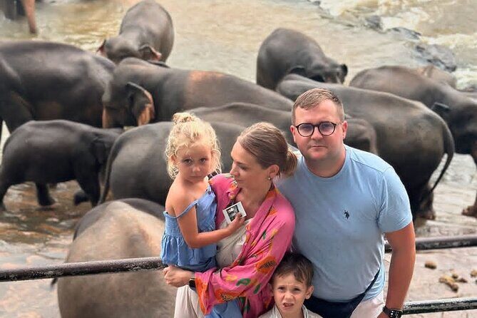 Luxury Day Trip from Colombo to Pinnawala and Kandy Highlights - Introduction