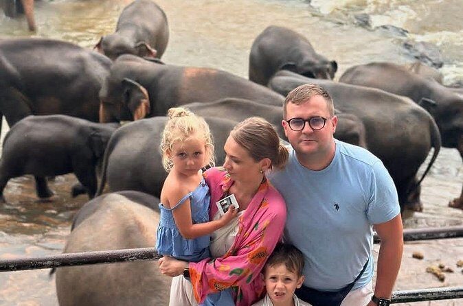 Luxury Day Trip from Colombo to Pinnawala and Kandy Highlights - The Sum Up