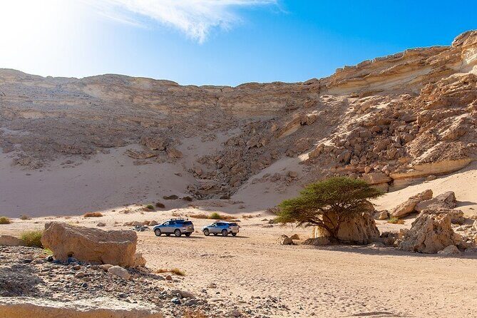 Luxury Desert Safari Tour, Morning & Afternoon from Hurghada - An In-Depth Look at the Desert Safari Experience