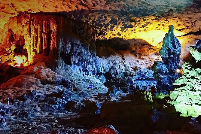 Luxury Dolphin Cruise in Ha Long Bay  Buffet Lunch, Pool & Party - The Experience: What Travelers Say