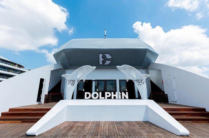 Luxury Dolphin Cruise in Ha Long Bay  Buffet Lunch, Pool & Party - Price and Value