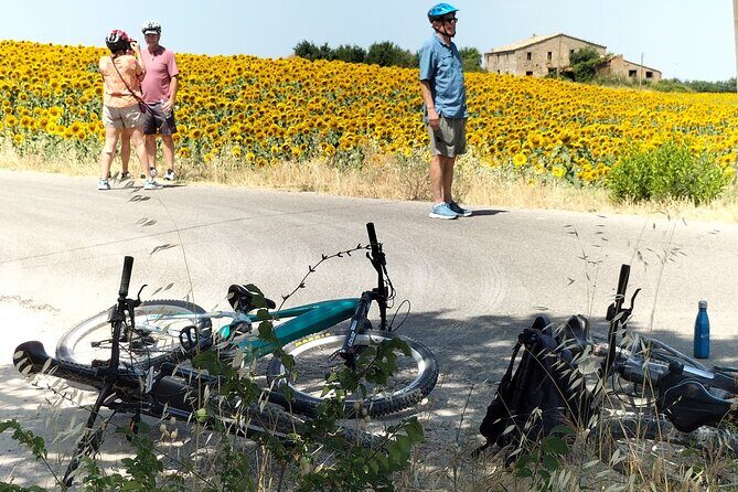 Luxury Eno and Oil experience, by e-bike and more... - Authenticity and the Experience of Local Craftsmanship