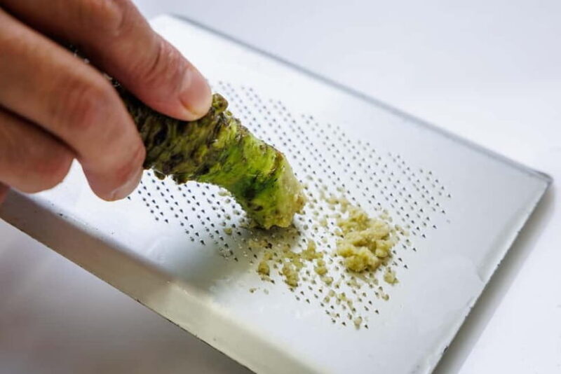 Luxury Fish Shop Tour : Exclusive Backyard Experience - The Itinerary in Detail