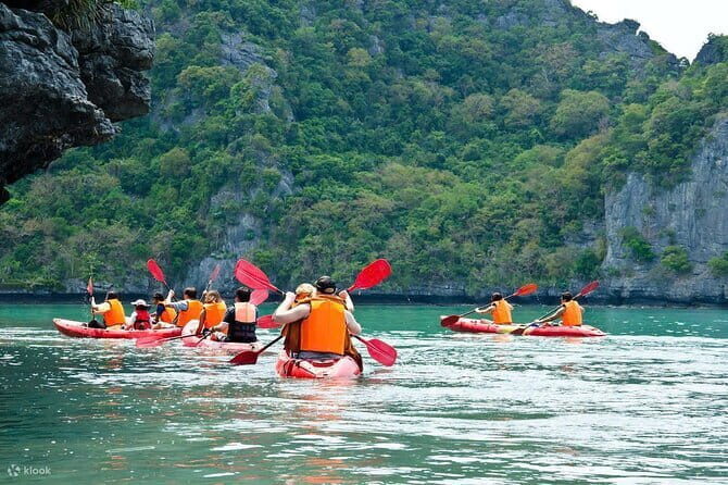 Luxury Fullday Halong Bay Tour on 5-Star Cruise with Buffet Lunch - Who Will Love This Tour?