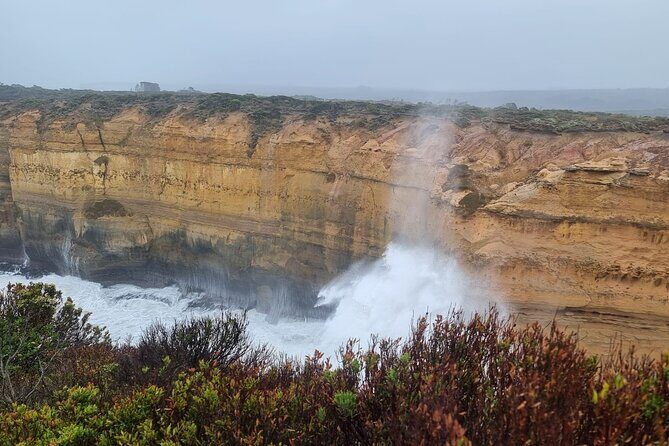 Luxury Great Ocean Road Tour Max 11 with Pickup Service - An In-Depth Look at the Experience