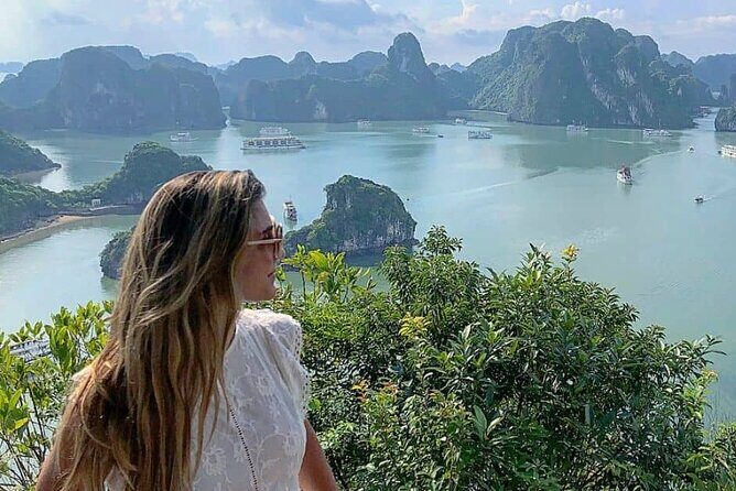 Luxury Halong Day Tour From Hanoi - Arriving at Tuan Chau Harbour and Boarding the Cruise