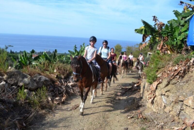 Luxury Harem Maldives Alanya All Inclusive Boat Adventure - FAQ