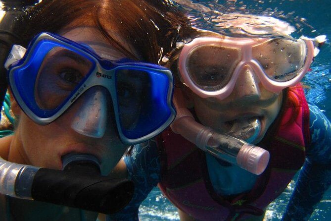 Luxury Hawaiian Sea Turtle, Dolphin Sail and Kona Snorkel - The Return and Overall Experience