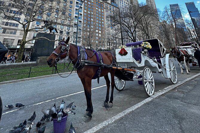Luxury Horse and Carriage Tours in Central Park - Value and Cost Analysis