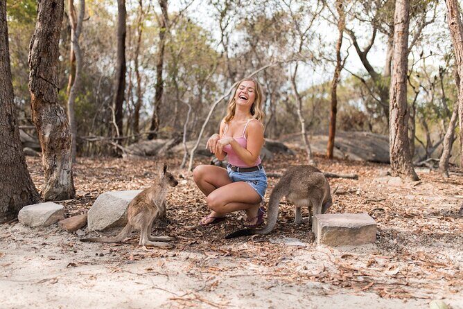 Luxury Hunter Valley Wildlife & Wine Tasting Tour from Sydney - Transportation and Group Size