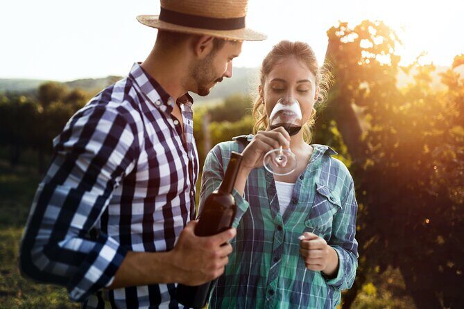 Luxury Hunter Valley Wildlife & Wine Tasting Tour from Sydney - Reviews: Authentic Voices
