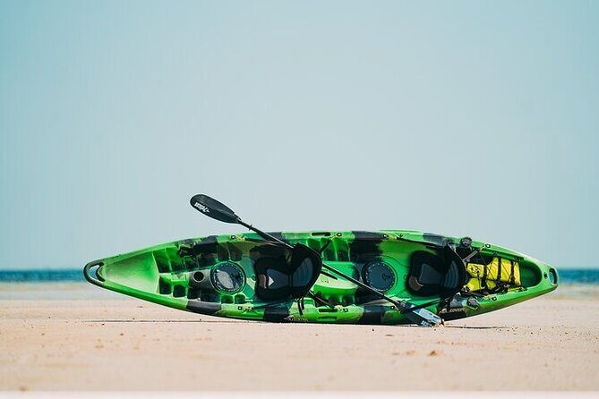Luxury Kayak Tour To An Island Off Clearwater Beach! - (Tandem) - An Authentic Paddle in Clearwater’s Calm Waters