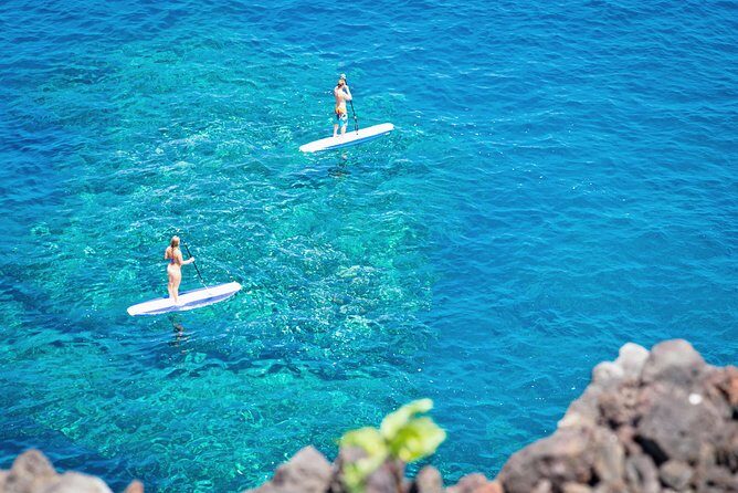 Luxury Kona Coast Snorkel Tour Including Lunch - Setting the Scene: An Overview of the Tour