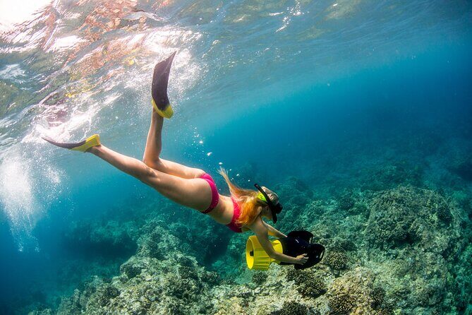 Luxury Kona Coast Snorkel Tour Including Lunch - Practical Details for Planning Your Trip