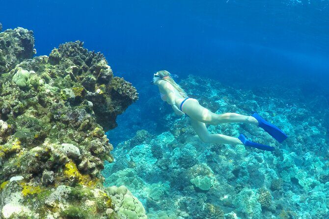 Luxury Kona Coast Snorkel Tour Including Lunch - FAQs