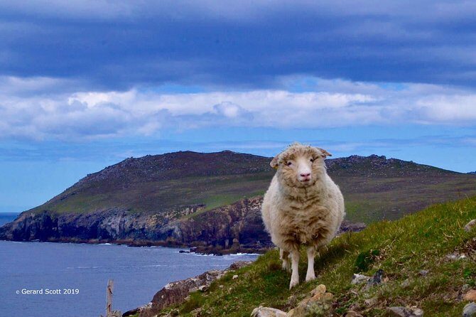 Luxury 'Luck of the Irish' Tour - 4 Day Tour - An In-Depth Look at the Tour