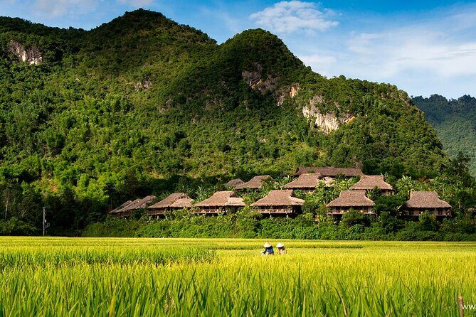 Luxury Mai Chau Day Tour from Hanoi - The Sum Up