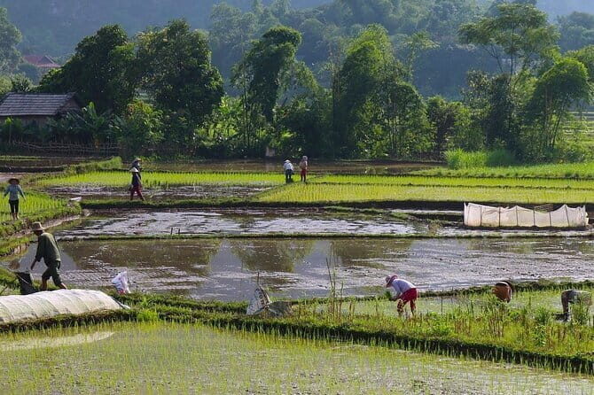 Luxury Mai Chau Day Trip Discover Hidden Gem & Stunning Cave - Key Points