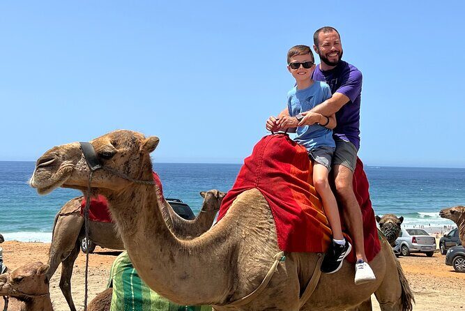 Luxury Malaga to Tangier Day Trip: Transfer, ferry, camel & Souks - Final Thoughts