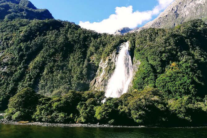 Luxury Milford Sound Coach and Scenic Cruise - The Road Less Traveled: Who Will Love This Tour?