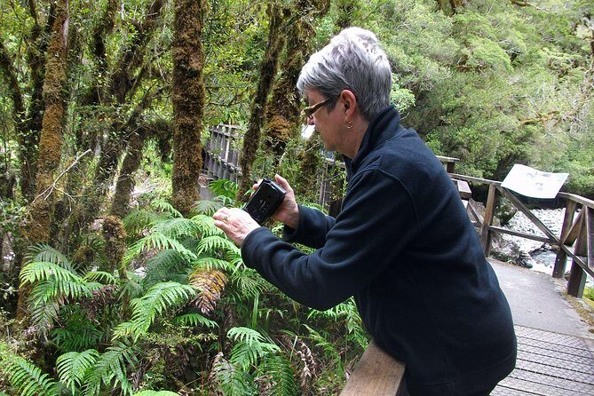 Luxury Milford Sound Coach and Scenic Cruise - Final Thoughts: Who Should Book This?