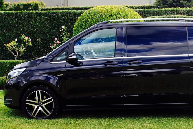 Luxury Mini Bus - Sydney Airport Transfers - Authentic Traveller Perspectives
