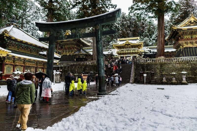 Luxury Nikko Gateway;Private Guided tour - Why Choose the Luxury Nikko Gateway Tour?