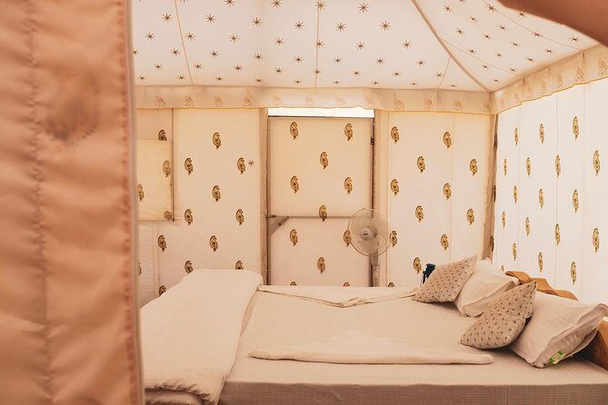 Luxury Overnight Camping Jaisalmer - Why This Tour Stands Out