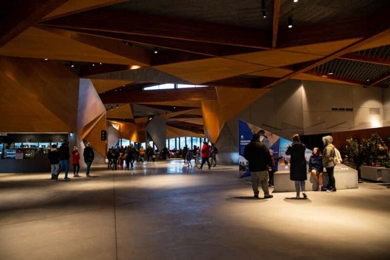 Luxury Phillip Island Tour for Families & Explorers 10 Max - A Day in the Life: What to Expect on This Luxury Tour