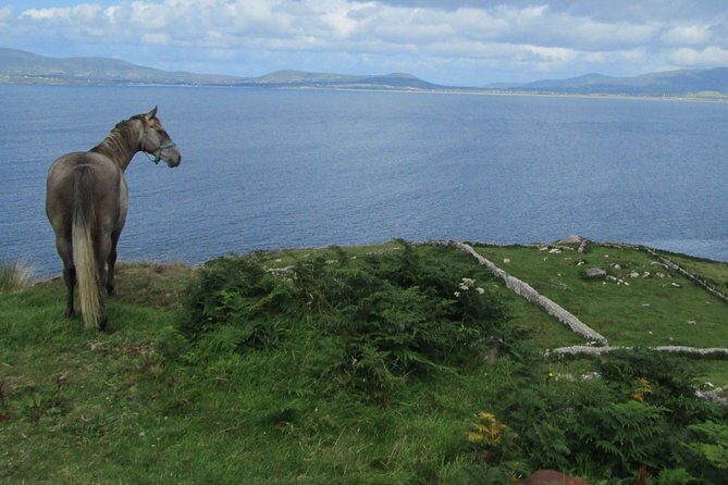 Luxury Photography Day Tour on Ring of Kerry and Skellig Ring - Fully Guided and Chauffeured - The Sum Up: Is It Worth the Price?