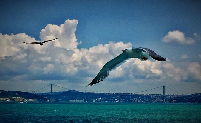 Luxury Private and Guided Istanbul Food Tour with a local guide - An In-Depth Look at the Tour Experience