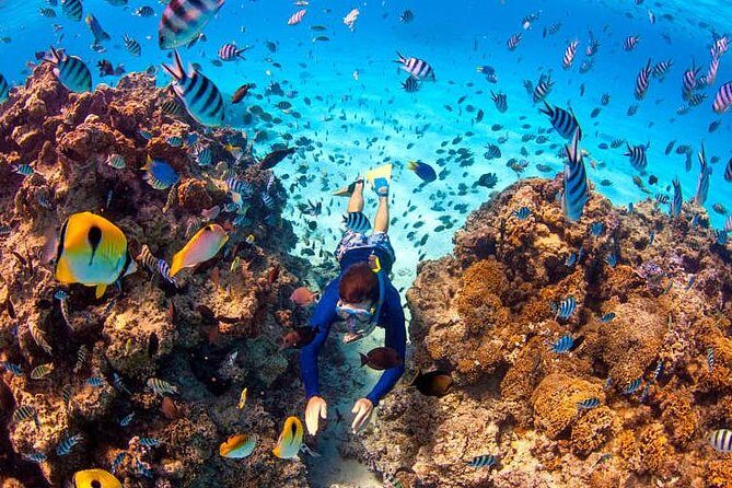 LUXURY Private Catamaran : BORA BORA Half Day Sailing, Snorkeling - Key Points