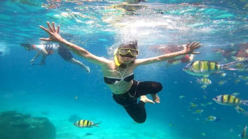 Luxury Private Charter to Coral Island Full Day Trip - A Relaxed yet Exciting Day on the Waters