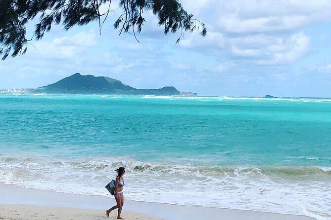 Luxury Private Circle Island Charter Tour - Who Should Consider This Tour?