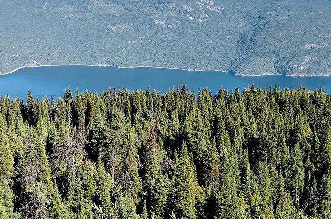 Luxury Private Day Trip: Calgary to Banff Lake Louise - Who Will Enjoy This Tour?