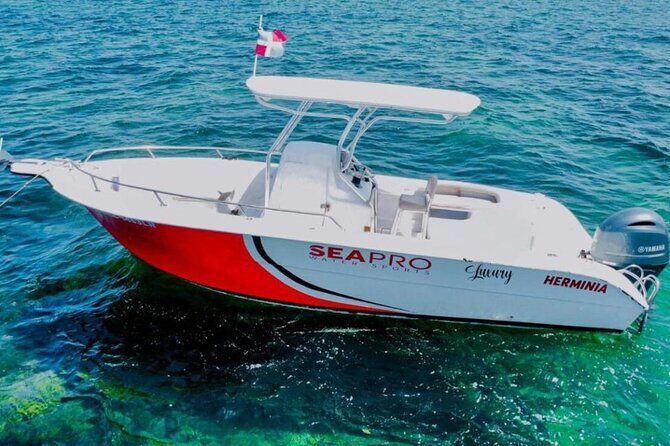 Luxury Private Family Sailing Tour in Punta Cana - The Experience: What You Can Expect from the Punta Cana Private Sailing Tour