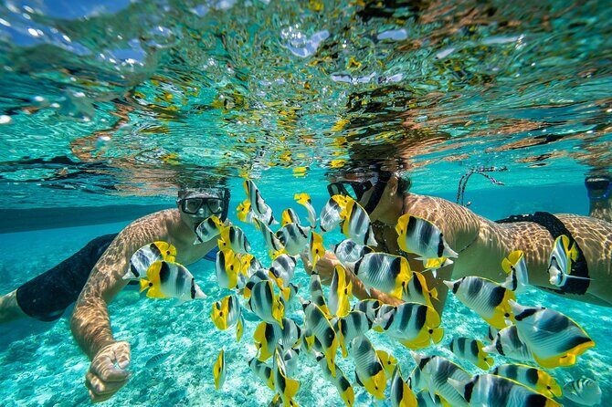 Luxury Private full day tour with Lunch on Board - Who Will Love This Tour?