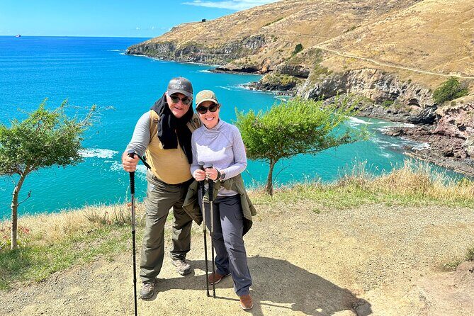 Luxury Private Guided Crater Rim Walk on Banks Peninsula - Authentic Reviews from Real Travelers