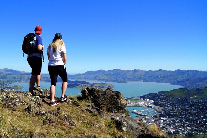 Luxury Private Guided Crater Rim Walk on Banks Peninsula - Final Thoughts: Is This Tour Worth It?