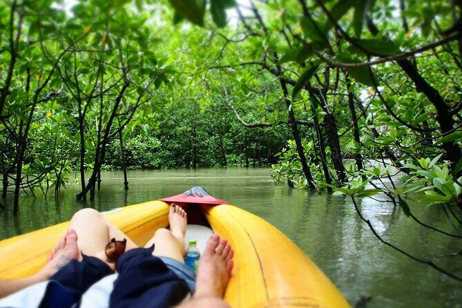 Luxury Private Motor Yacht Charter by Simba Sea Trips - Authenticity and Guest Experiences