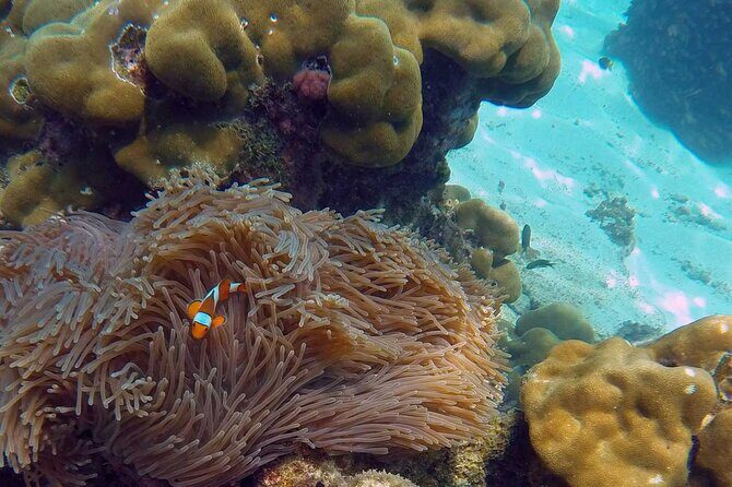 Luxury Private Motor Yacht Charter by Simba Sea Trips - Analyzing the Price and Value