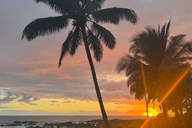 Luxury Private RoundTrip Transfer KOA to Outrigger Kona - The Vehicle and Comfort