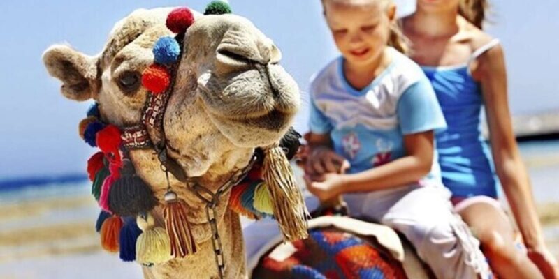Luxury Private Tangier Tour from Estepona all inclusive - Frequently Asked Questions (FAQs)