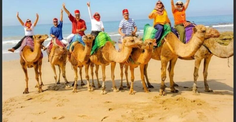 Luxury Private Tangier Tour from Malaga all inclusive - The Value: What’s Included and What’s Not